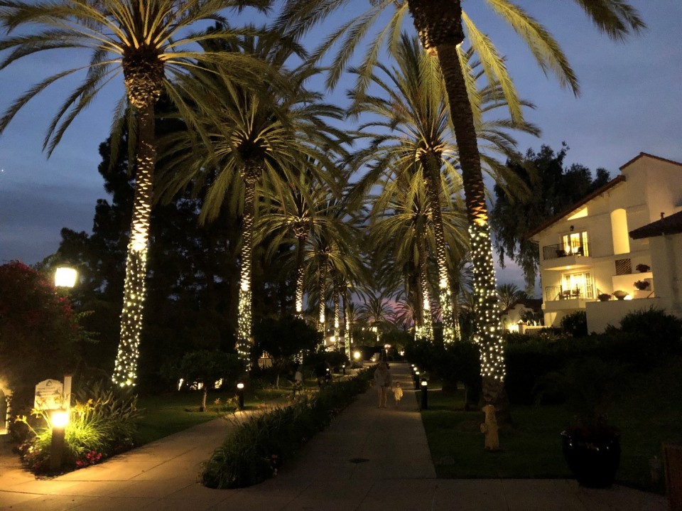 Structural Engineers Association of Central CA - Newsletter